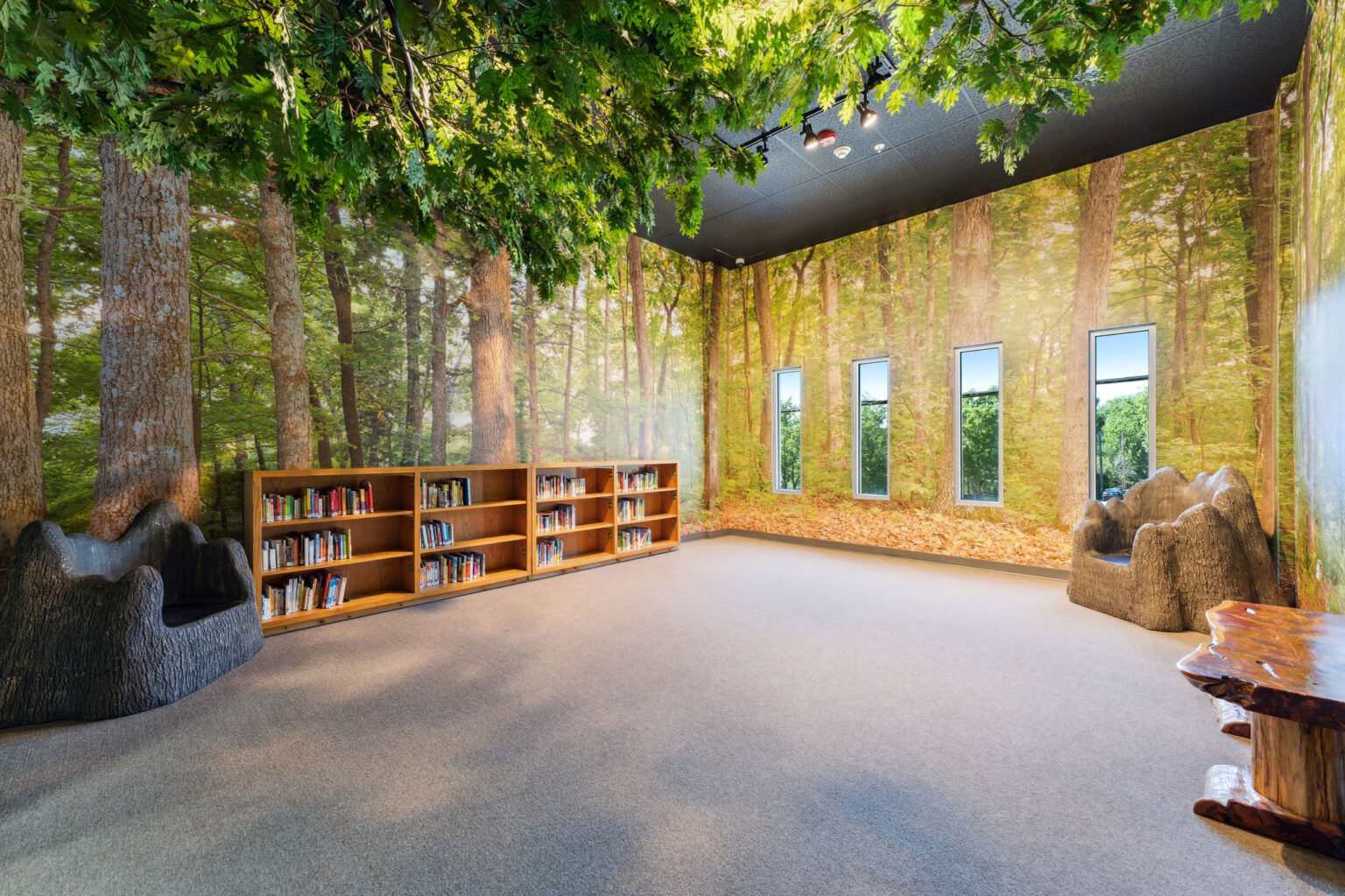 Find a World of Knowledge at Library Center of the Ozarks